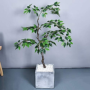 WUWEOT 6-lb White Decorative Bean Pebbles, 0.2" Natural Gravel Rocks for Plants, Succulents, Vases, Aquariums and Terrariums