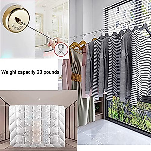 304 Stainless Steel Clothesline, Hotel Balcony Indoor Invisible Clothesline, Retractable Drying Rack (1 Set of Gold)