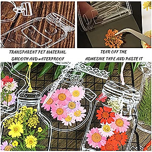 Onemoredream 30Pcs Transparent Dried Flower Bookmarks, DIY Dried Flower Bookmark, Flower Bookmark Maker for Girls Adults Kids Back-to-School Season, Graduation Present (Drifting Bottle)