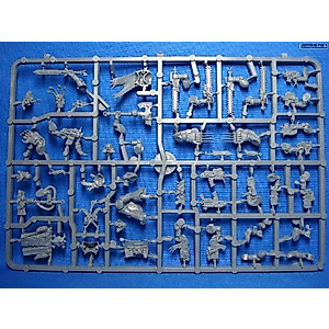 Space Wolves Marine Tactical Pack Warhammer 40k Wolf