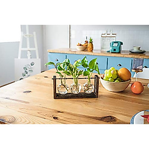 Mkono Plant Terrarium with Wooden Stand, Wall Hanging Glass Planter Tabletop Propagation Bulb Vase Metal Swivel Holder Retro Rack with 3 Bud Bottle for Hydroponics Plants Home Office Decor
