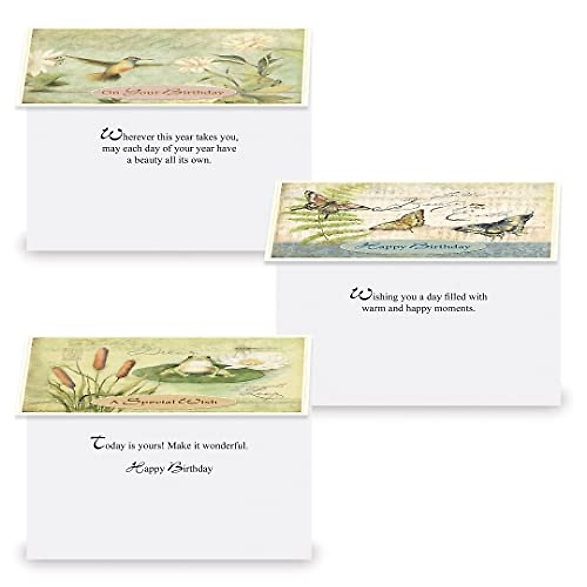 Nature's Sanctuary Birthday Greeting Cards Value Pack - Set of 20 (10 designs), Large 5" x 7", Happy Birthday Cards with Sentiments Inside