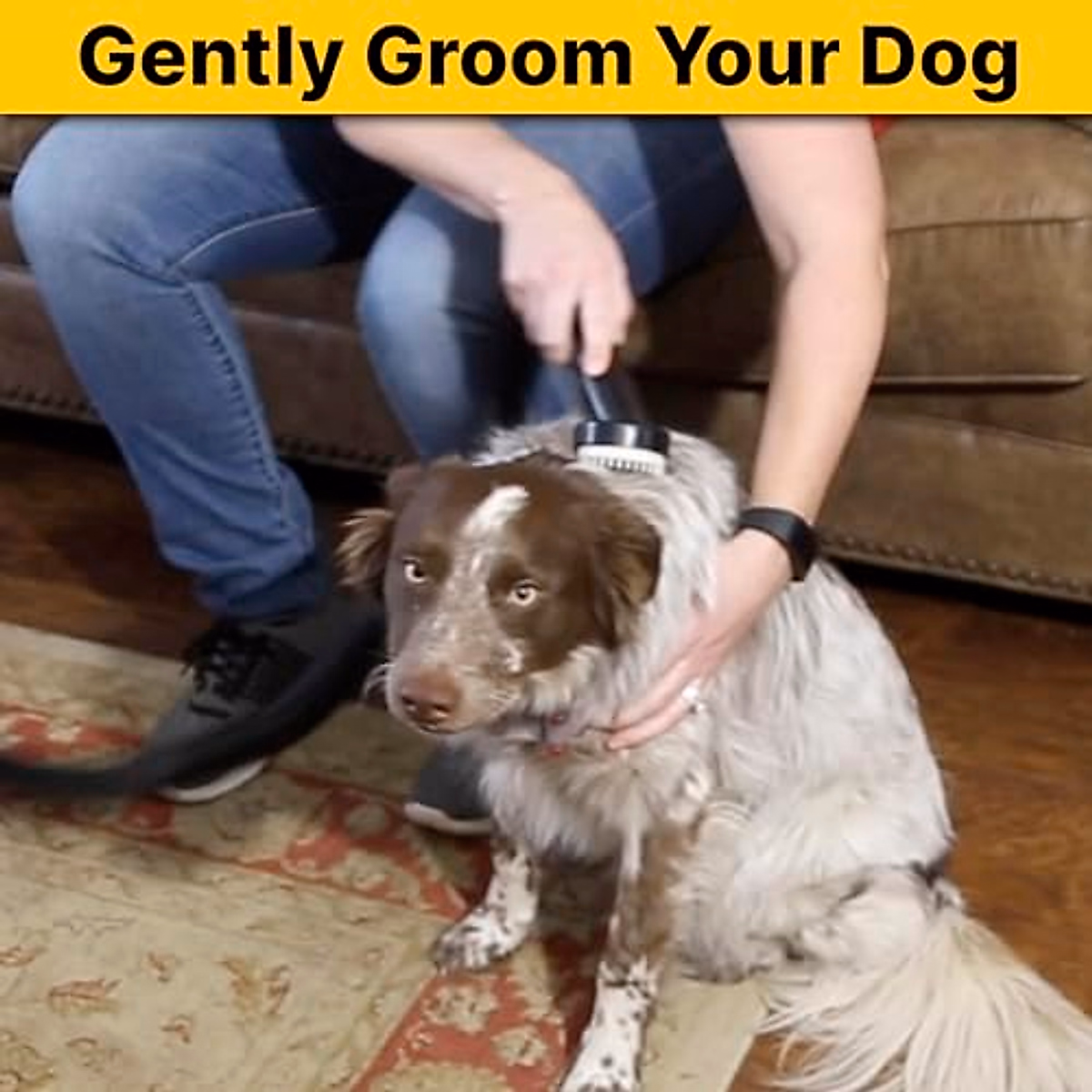 Shop-Vac 9190400 1.1/4-Inch Dog Grooming Tool,Black