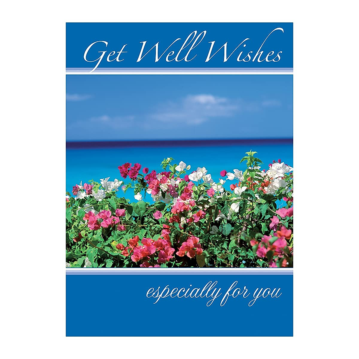 Paper Craft IG98641-RE Religious Get Well Soon Card Set with Envelopes, 12 Cards, 4.75'' W x 6.5'' H, Floral and Landscape Photography