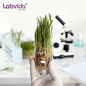 Labvida 24pcs of Low Form Glass Beakers, 3.3 Borosilicate with Printed Graduation, Vol.25ml,LVA037