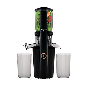 Cold Press Juicer，Slow Masticating Juicer,4.2-inch Large Bore Feed Chute， Juicer Machines Vegetable and Fruit,Easy to Clean, High Juice Yield,250W (black)