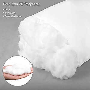Fixwal 22x22 Inches Outdoor Pillow Inserts Set of 2, Waterproof Decorative Throw Pillows Insert, Square Pillow Form for Patio, Furniture, Bed, Living Room, Garden (White)