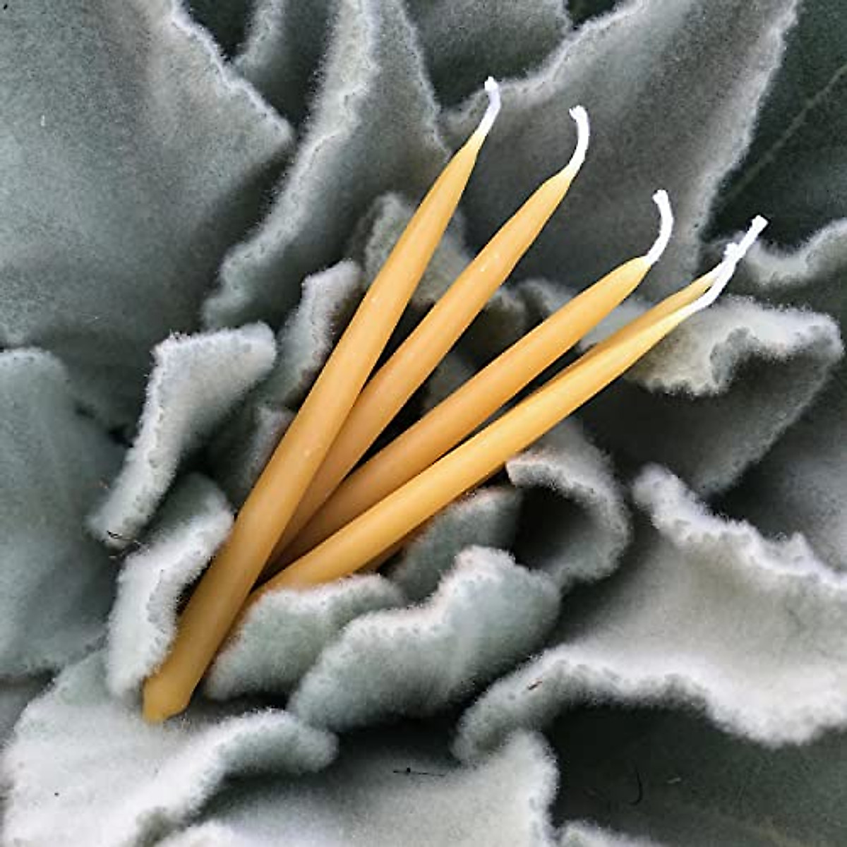 olorvela Beeswax Taper Candles Candlesticks Bulk - Skinny Taper Candles, Thin Beeswax Candles Tall Birthday Candles for Cake, 50pcs 6.3" for Hanukkah, Home Decor, (Yellow)