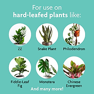 Miracle-Gro Leaf Shine, 8-Ounce Green