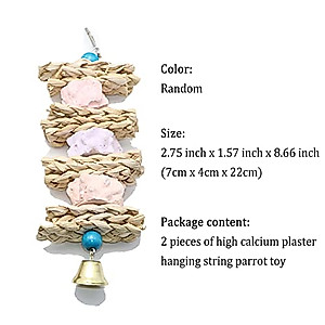 Litewoo Parrot Toy Bird Chew Toy High Calcium Plaster Hanging String Birdcage Accessories Suitable for Parrot Macaw African Grey Parrot Xuanfeng Parrot Bird Toy