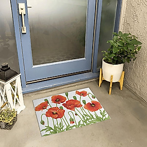 Lunarable Flower Doormat, Spring Wild Flower Poppy Ladybug Leaf Springtime Garden Nature Backyard Print, Decorative Polyester Floor Mat with Non-Skid Backing, 30" X 18", Orange Green