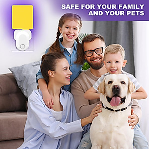 10 Pcs Sticky Refill Kit for Flying Insect Trap Only, Electric Plug-in Fly Insect Trap Refill,Safe Odor-Free Environmentally Friendly Catcher Sticky Refill Kit for Gnats, Moths,Mosquito,ERRS