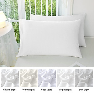MILDLY Queen Pillowcases White - 100% Washed Microfiber Super Soft and Cozy Pillow Cases Set of 2 with Envelope Closure 20x30 Inches