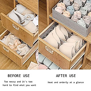 Kaxich Bra Underwear Drawer Organisers, Collapsible Closet Dividers Wardrobe Storage Organiser Foldable Underwear Organizer for Socks, Neck Ties, Scarves, and Handkerchiefs, Set of 4