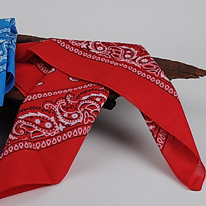 BSLINO Bandanas 24pcs 22 X 22 Inch 100% Cotton Bandana Novelty Double Sided Print Paisley Cowboy Bandana Party Favor Scarf Headband Handkerchiefs Two Dozen