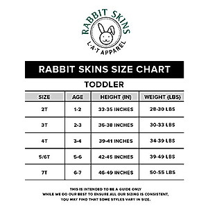 RABBIT SKINS Toddler Fleece Long Sleeve Pullover Sweatshirt, Heather, 2T