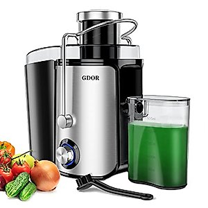Juicer Machines with 1000W Motor, GDOR Extra Wide 3” Feed Chute Juicer, Juice Extractor for Whole Fruits and Vegetables, Easy to Clean Juice Maker, Centrifugal Juicer, BPA-Free, Anti-Drip, Silver