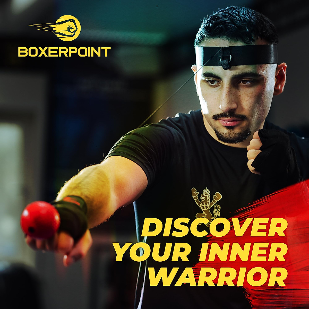 Boxerpoint Boxing Reflex Ball – Boxing Ball Headband Boxing Game for Adults & Kids – Hand Eye Coordination Training Boxing Equipment & MMA (Adults)
