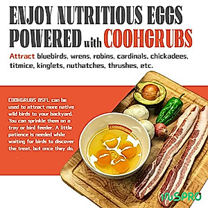 coohgrubs Premium Quality Dried Black Soldier Fly Larvae, Natural Nutritious Grubs for Chickens, High Protein and Calcium Rich Treats for Laying Hens, Ducks, Geese, Turkeys, Quails and More