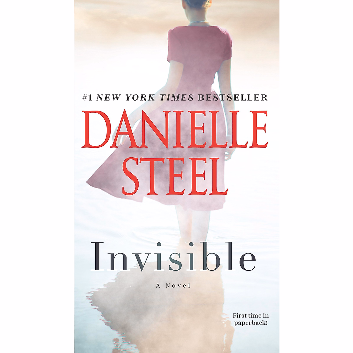 Invisible: A Novel