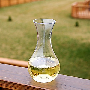 Lily's Home Unbreakable Wine Decanter, Premium Carafe is Made of Shatterproof Tritan Plastic, Ideal for Indoor and Outdoor Use, Reusable and Dishwasher-Safe, Crystal Clear (48 oz. Capacity)