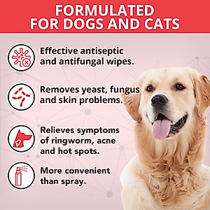 NOVEHA XL Cleansing Wipes with Aloe for Cats and Dogs - Formulated Pet Wipes for Facial, Finger Folds, and Underarms - Extra Large Size (5.5" x 7") - 120 Count