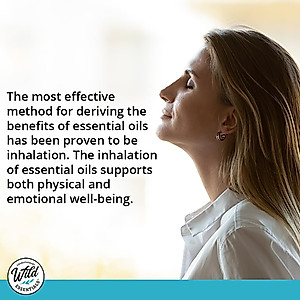 Wild Essentials 3 Pack of Quit Smoking Aromatherapy Nasal Inhalers Made with 100% Natural, Therapeutic Grade Essential Oils to Help You Kick The Habit and Quench The Cravings