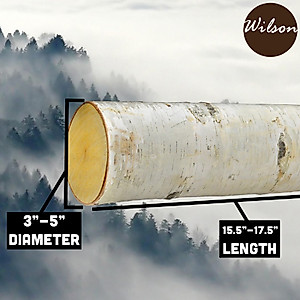 Wilson Birch Fireplace Large Log Set (5 Logs: 3''-5'' Dia. x 15.5-17.5" Long)