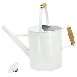 HORTICAN 1 Gallon Watering Can with Wooden Handles, White Metal Can with Removable Spout, Perfect for Indoor and Outdoor Plants