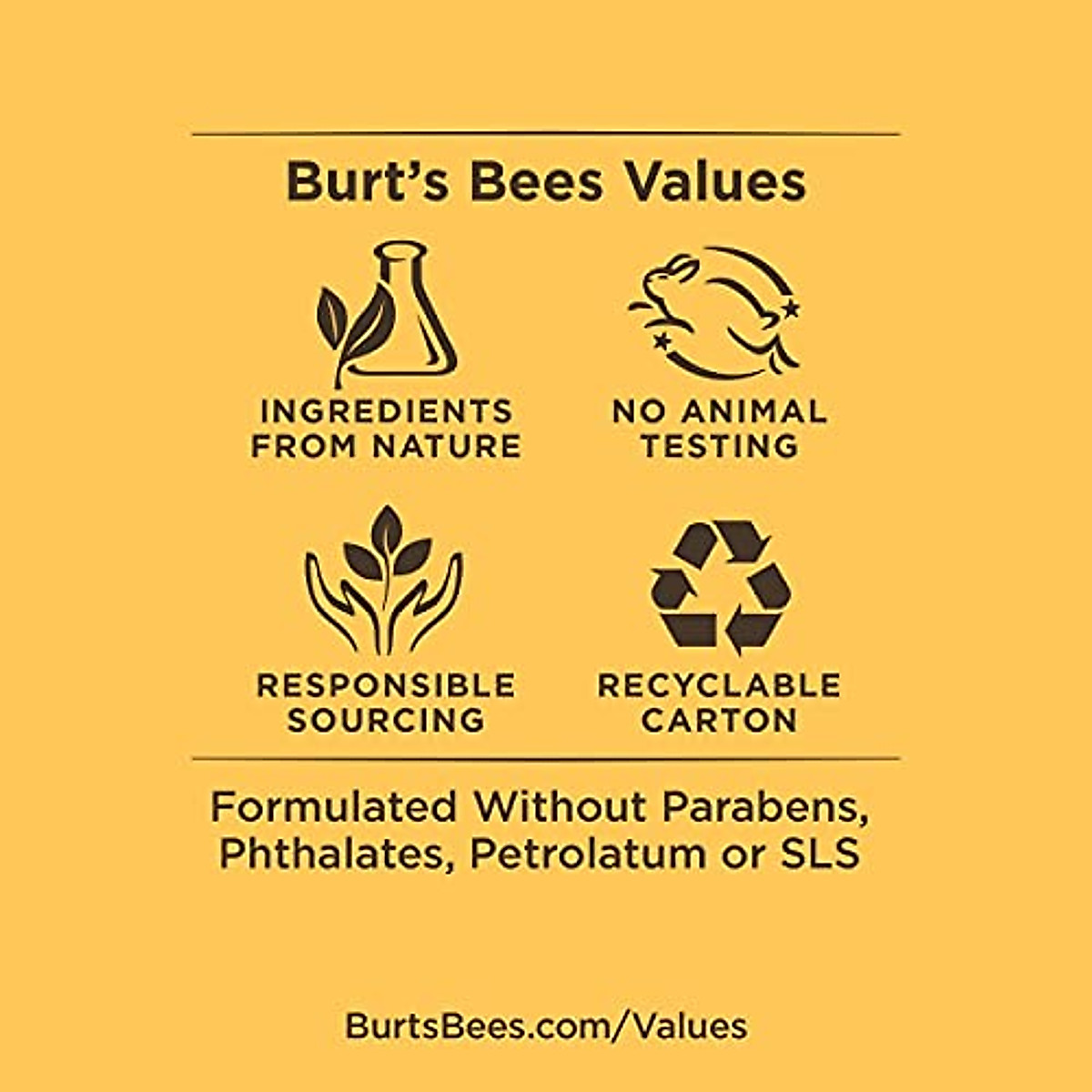 Burt's Bees Lip Balm - Mango, Lip Moisturizer With Responsibly Sourced Beeswax, Tint-Free, Natural Origin Conditioning Treatment, 2 Tubes, 0.15 oz.