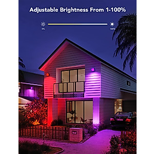 Govee Outdoor Lights, Flood Lights Uplight 2 in 1, LED Landscape Lighting, 35 Scene Modes, 4 Music Modes, Smart Color Changing IP65 Waterproof, App Control, Patio Lights, Garden Yards Walls, 4 Pack