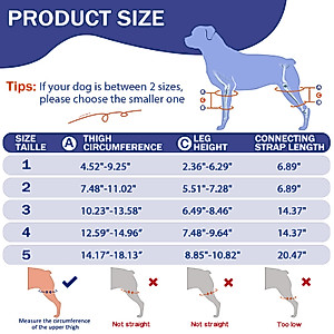 Dog Knee Brace Adjustable for Torn ACL and Hip Dysplasia - Supports Large and Small Dogs with CCL, Ligament Injuries, Osteoarthritis Relief, Enhances Mobility and Recovery (Large)