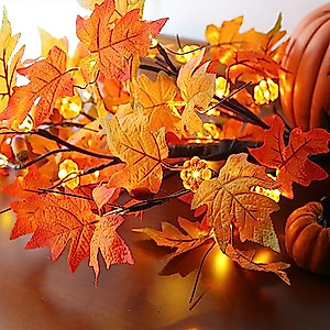 HUAESIN 2 Pack 24'' Prelit Lighted Maple Tree Thanksgiving Decor Fall Tree 48 LEDs Battery Operated Lighted Pumpkins Artificial Autumn Fall Tabletop Tree for Halloween Fall Harvest Home Indoor Decor