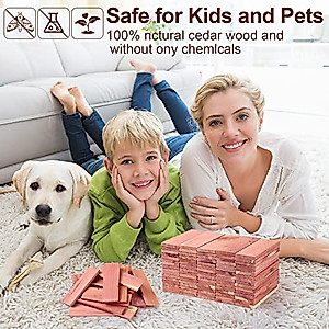 100 Pcs Cedar Blocks for Clothes Storage Aromatic Ceder Blocks Red Wood Planks Natural Cedar Accessories for Drawers and Closet Storage