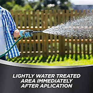 Amdro Kills Ants &amp; Spiders Granules Shaker Bag 3lb