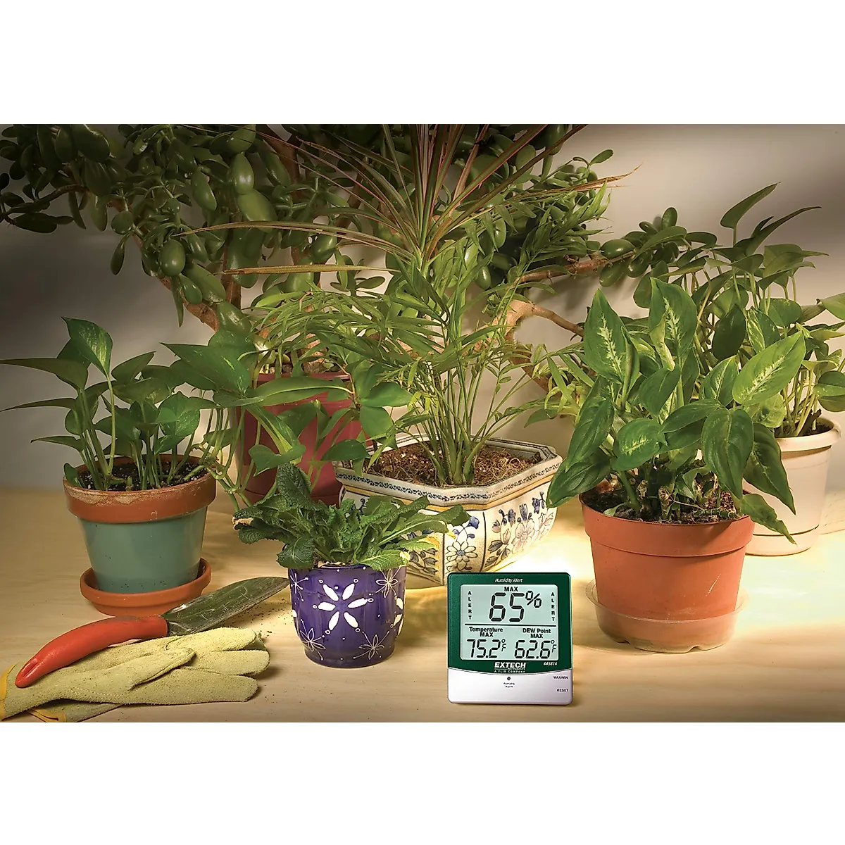 EXTECH Instruments Digit Thermometer