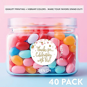 Andaz Press Blush Pink Gold Glitter Girl Baby Shower Party Collection, Round Circle Label Stickers, Thank You for Celebrating with US, 40-Pack