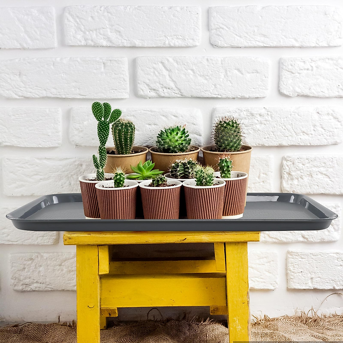 Nicesh 6-Pack Large Plastic Serving Trays, 25.28" x 17.06" Plastic Tray/Animal Feeding Tray or Planter Tray for Storage Shoes, Boots