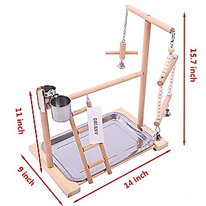 QBLEEV Bird Playground Birdcage Playstand Parrot Play Gym Parakeet Cage Decor Budgie Perch Stand with Feeder Seed Cups Ladder Hanging Swing Chew Toys Conure Macaw Cockatiel Finch Small Animals