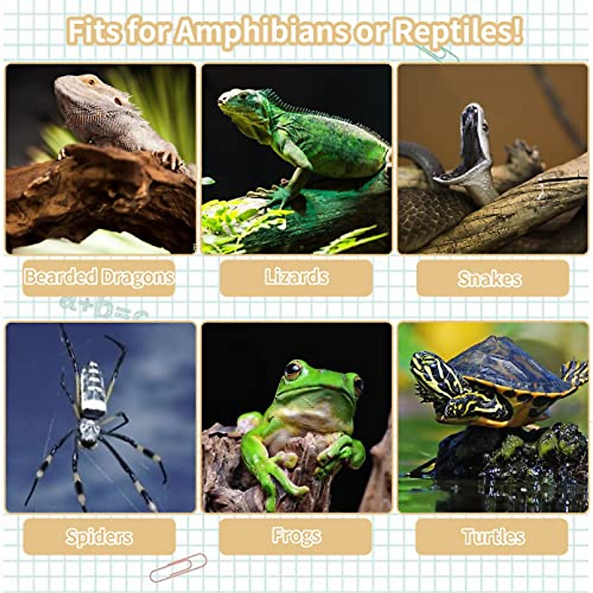 kathson 4PCS Cork Tile Background Bark 11.6”Lx7.7”W Terrarium Backdrop Wall Decor Natural Reptile Climbing Mat Habitat Decor for Spider Gecko Lizard Chameleon Bearded Dragon Turtle Snake