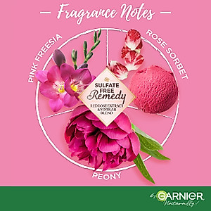 Garnier Whole Blends Sulfate Free Remedy Red Rose & Vinegar Color Protecting Shampoo and Conditioner Set for Color Treated Hair with Sample, 12 Fl Oz, 1 Kit (Packaging May Vary)