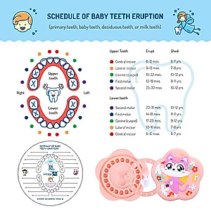 Glzyglyfx Baby Teeth Keepsake Box,Tooth Fairy,Lost Deciduous Tooth Collection Organizer,Cute Children Tooth Fetal Hair Umbilical Container,Saving Baby Teeth (Pink)