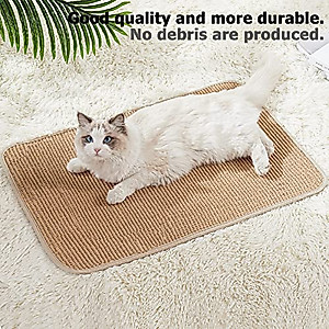 EZMeetU Cat Scratcher Mat, 23.6 X 15.7 Inch Natural Sisal Cat Scratching Pad, Cat Scratch Pad Rug for Indoor Cats with Non-Slip Velcro, Cat Furniture Protector for Floors, Carpets, Walls, Cabinets