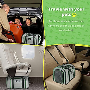 Minthouz Cat Carrier, Four-side Expandable Pet Carrier Airline Approved Dog Carrier with Safty Leash and Shoulder Strap, Collapsible Puppy Carrier with Self-lock Zipper,Removable Fleece Pad and Pocket