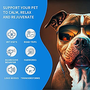 Pittie Cool Hemp Oil for Pets, Strawberry Flavor, 1000MG, Natural, Hips & Joints, Calming, Anxiety