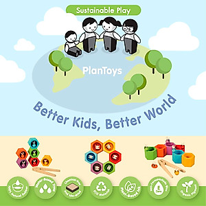 PlanToys Beehive Color Sorting Toy for Toddlers - Sustainably Made from Rubberwood Featuring Organic Coloring with 6 Colored Bees and Matching Beehive