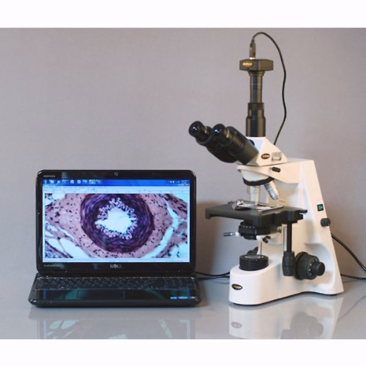 AmScope T690C-PCT200-PL Phase-Contrast Trinocular Compound Microscope, 40X-2500X Magnification, WH10x and WH25x Super-Widefield Eyepieces, Infinity Plan Achromatic Objectives, Brightfield, Kohler Condenser, Double-Layer Mechanical Stage, Includes 4 Phase