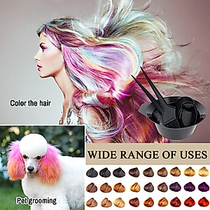 1st Choice Hair Dye Color Brush and Bowl Set, Tint Comb for Hair Tint Dying Coloring Applicator, (2 brushes+Mixing Bowl) …