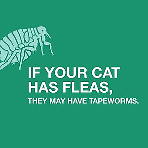 Bayer Expert Care Tapeworm Dewormer for Cats and Kittens