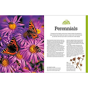 Propagating Plants: How to Create New Plants for Free